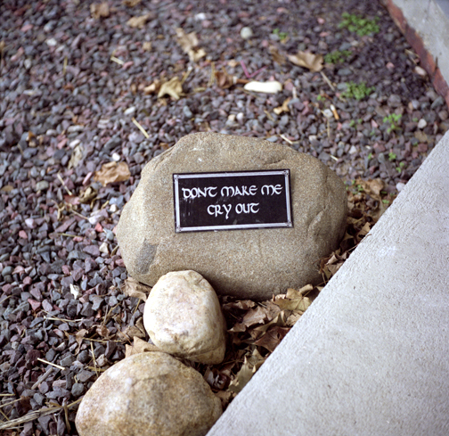 The Rocks Cry Out | itsawonderfilledlife