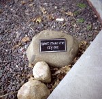 The Rocks Cry Out | itsawonderfilledlife