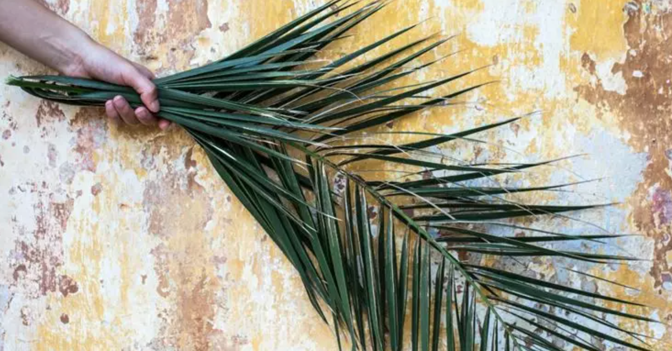 Waving our Palm Branches | itsawonderfilledlife
